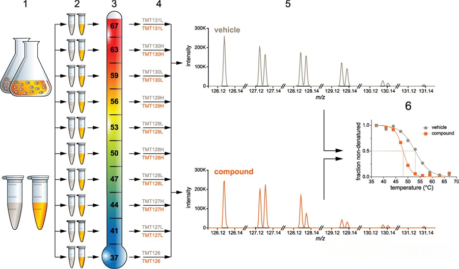技术分享-LIP-MS-TPP - 我的网站